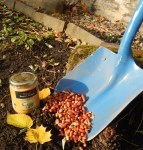 Breaking Anti-Cancer News: Ditch the Peanuts and Spread the Word | Eat ...